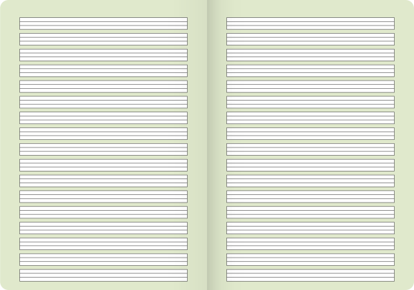 Schulheft A4, Lineatur 2, Liniensysteme, 2, 16 Blatt